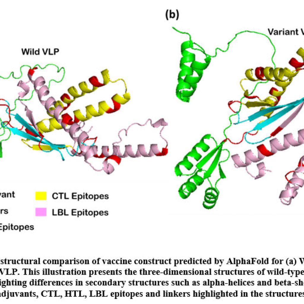 Machine Learning Optimization Approach to Design Multi-Epitope Marburg ...