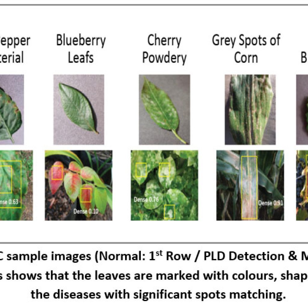 Plant Leaf Disease Detection with Multivariable Feature Selection Using ...