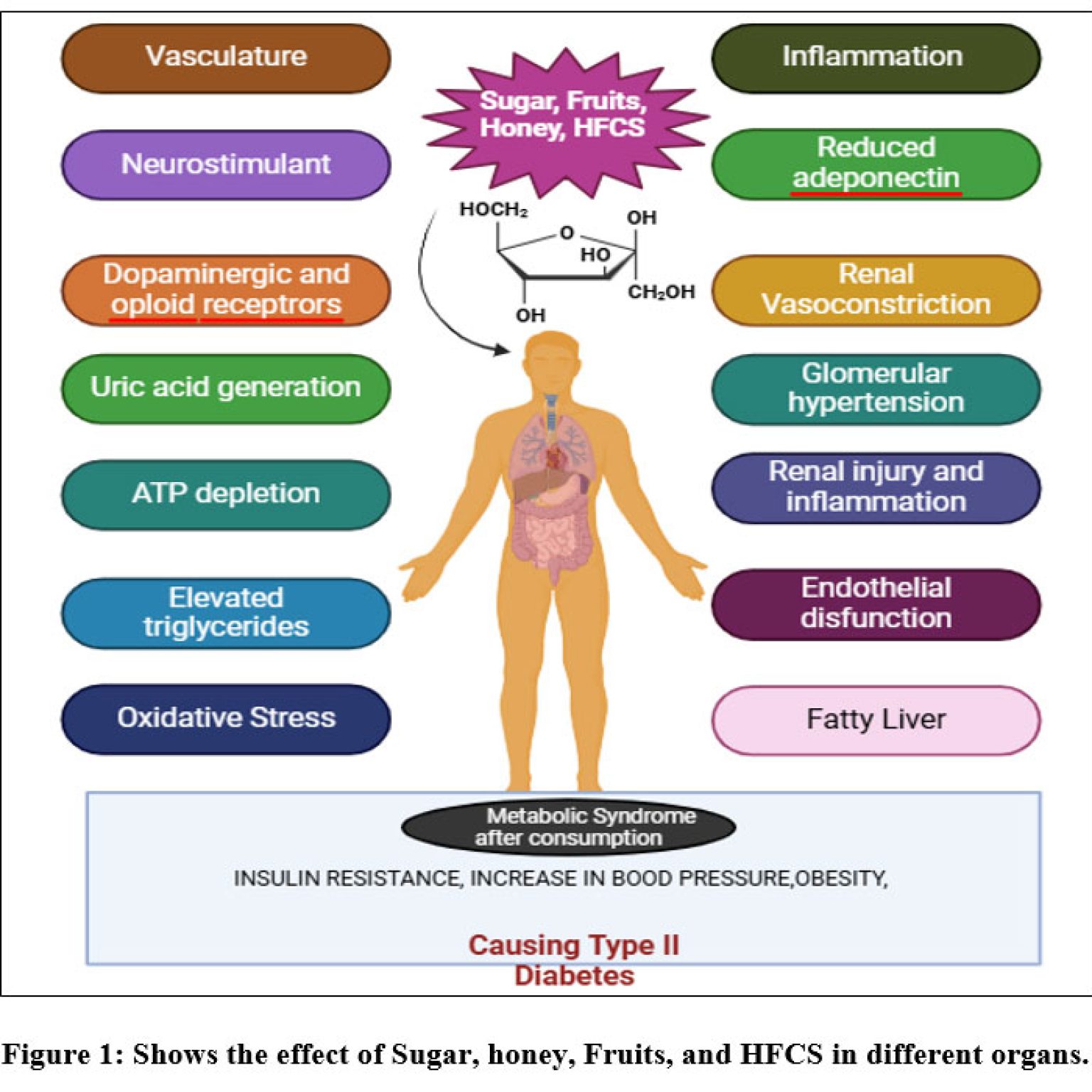 Sweeteners and Sugar- Their Impact on Human Metabolic Health and ...