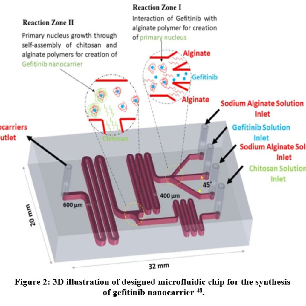 An Overview on Tyrosine Kinase Inhibitor Gefitinib Drug Delivery ...