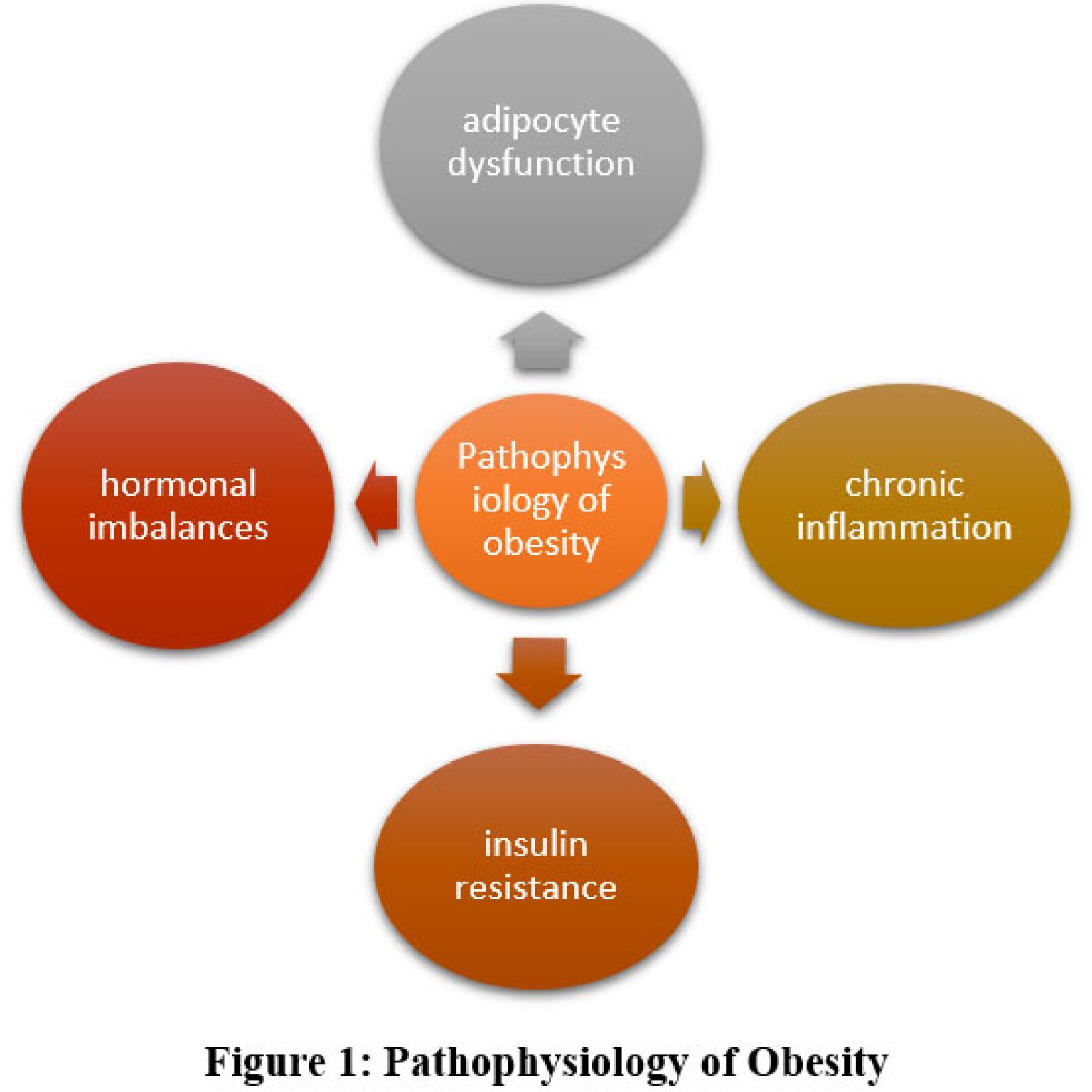 Advancements in Obesity: Unravelling Pathophysiology, Treatment ...