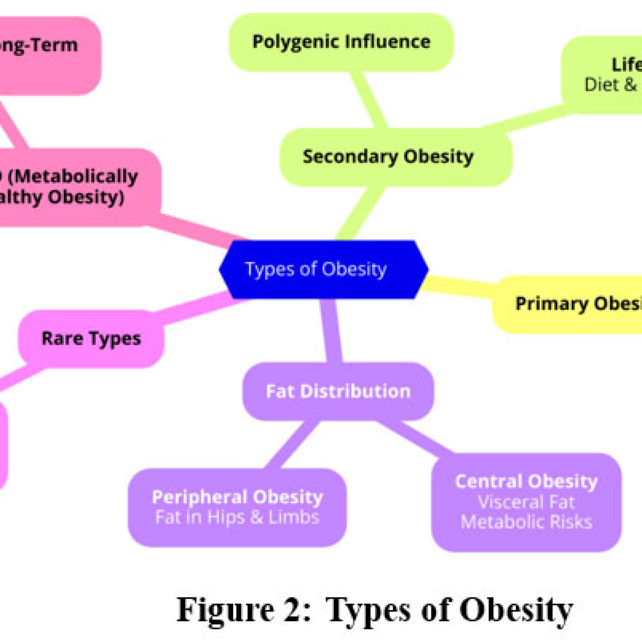 Advancements in Obesity: Unravelling Pathophysiology, Treatment ...