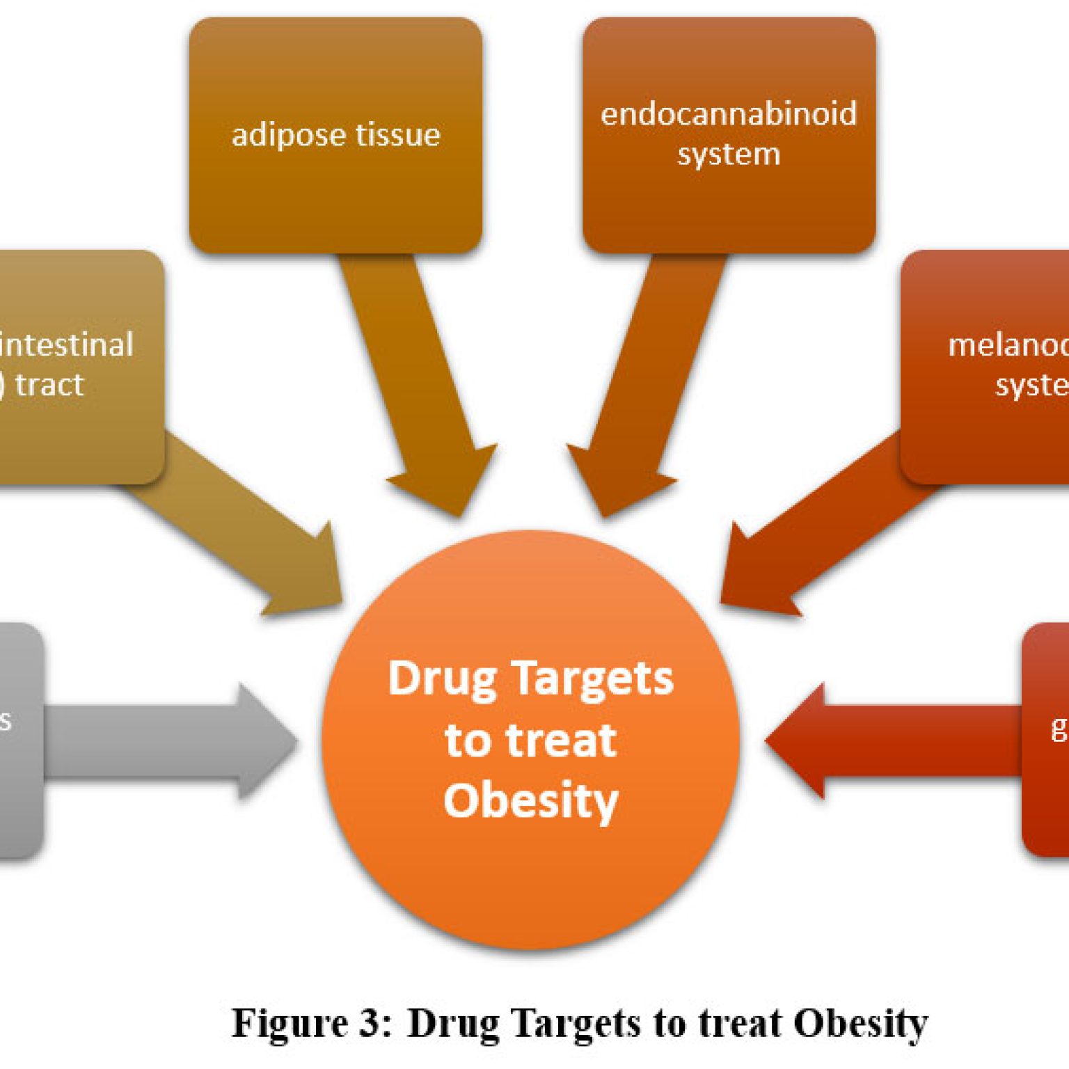 Advancements in Obesity: Unravelling Pathophysiology, Treatment ...