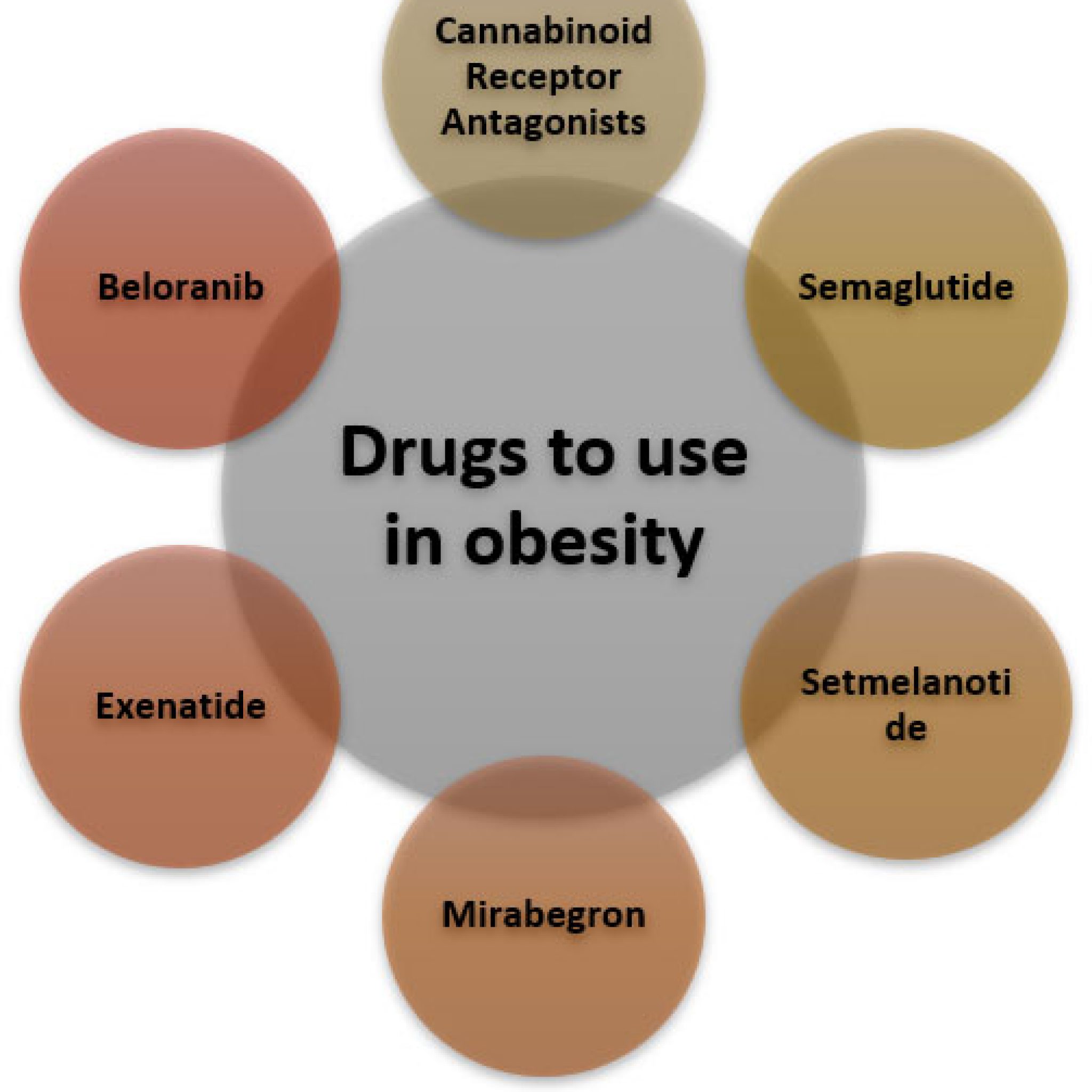 Advancements in Obesity: Unravelling Pathophysiology, Treatment ...