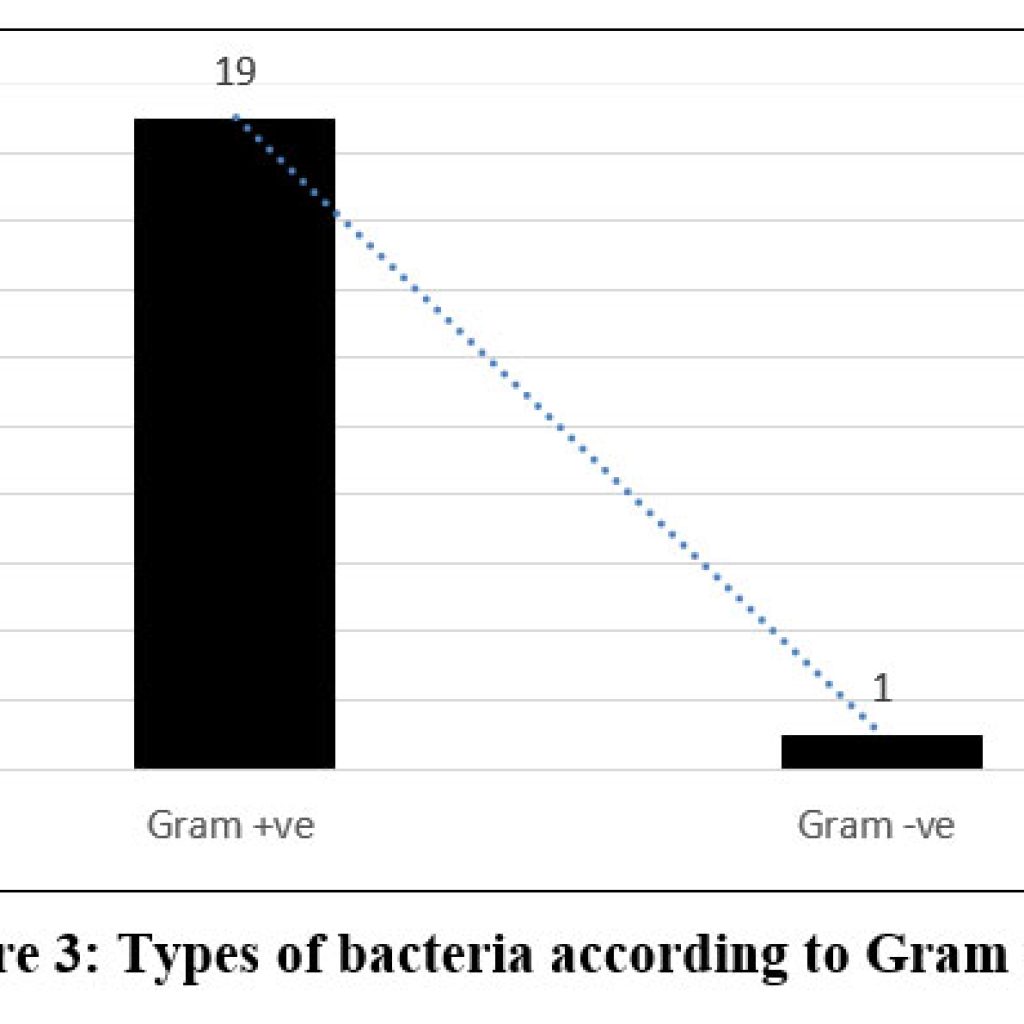 Prevalence of Drug-Resistant Nosocomial Pathogenic Bacterial Strains ...