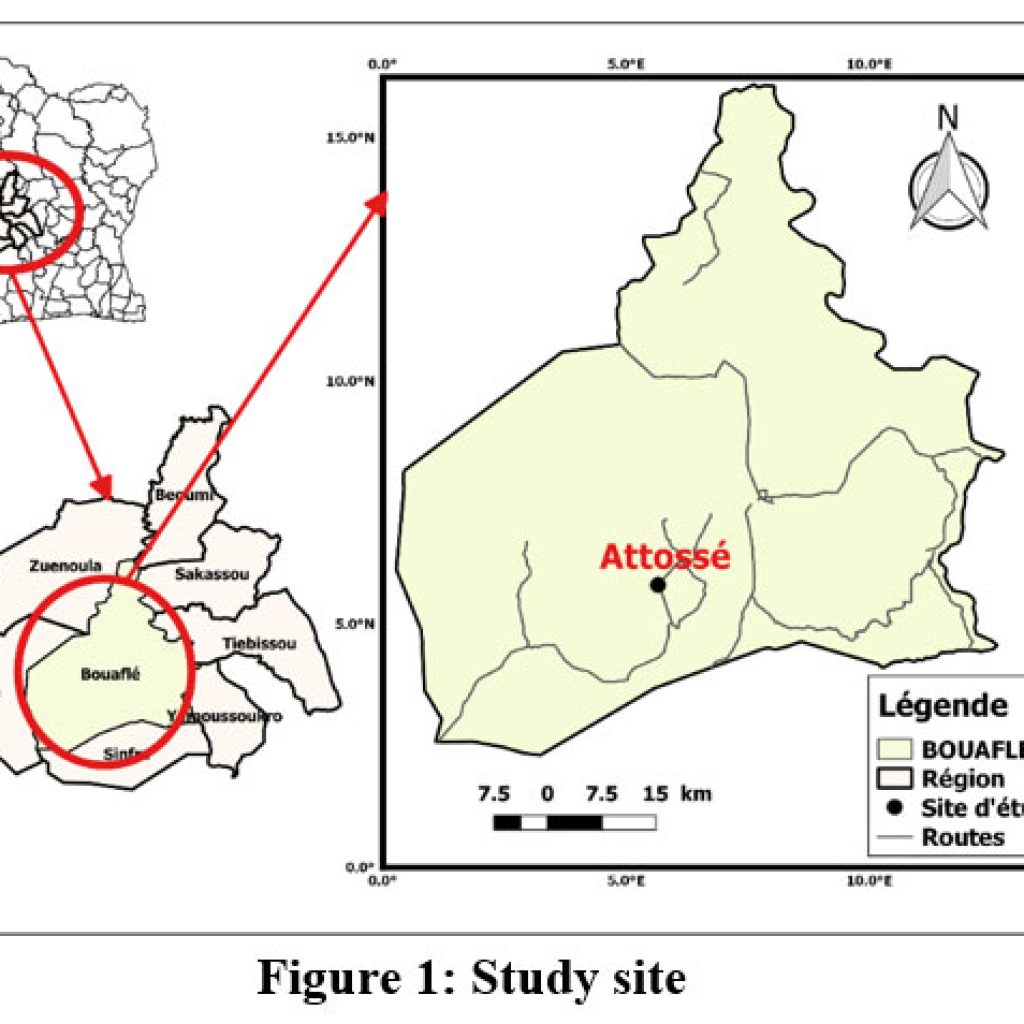 Assessment of Insect Pest Pressure in Cashew Orchards (Anacardium ...