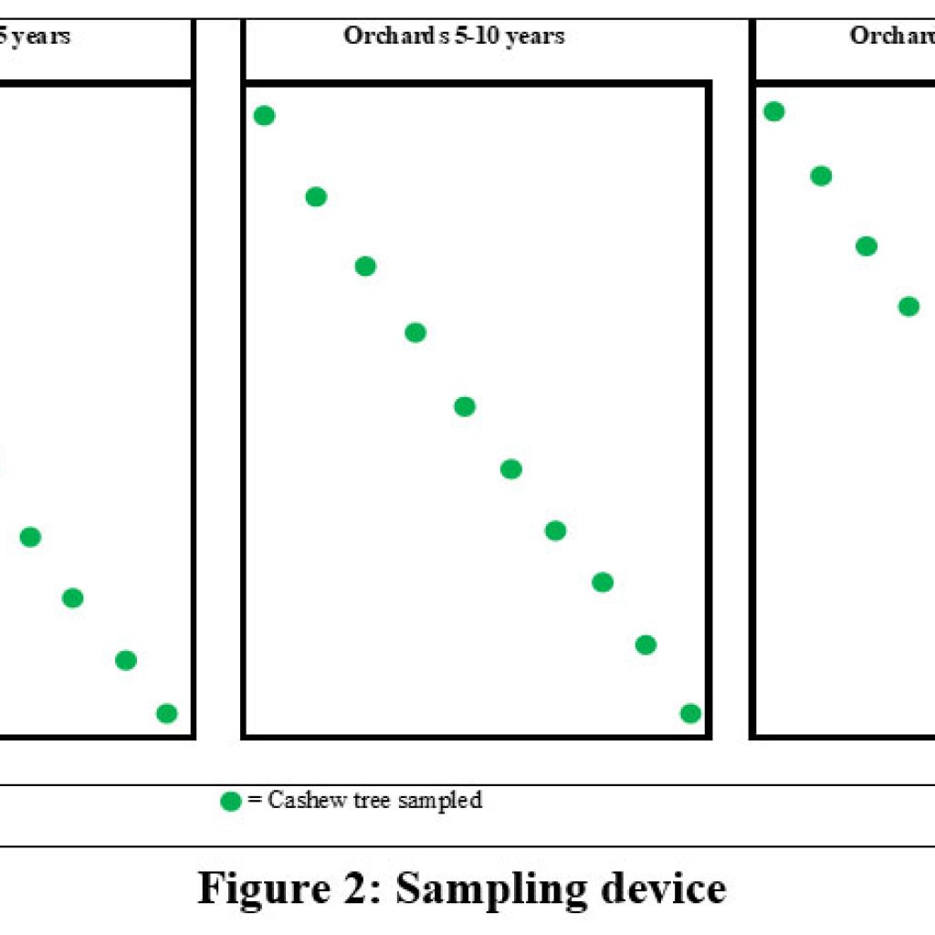 Assessment of Insect Pest Pressure in Cashew Orchards (Anacardium ...