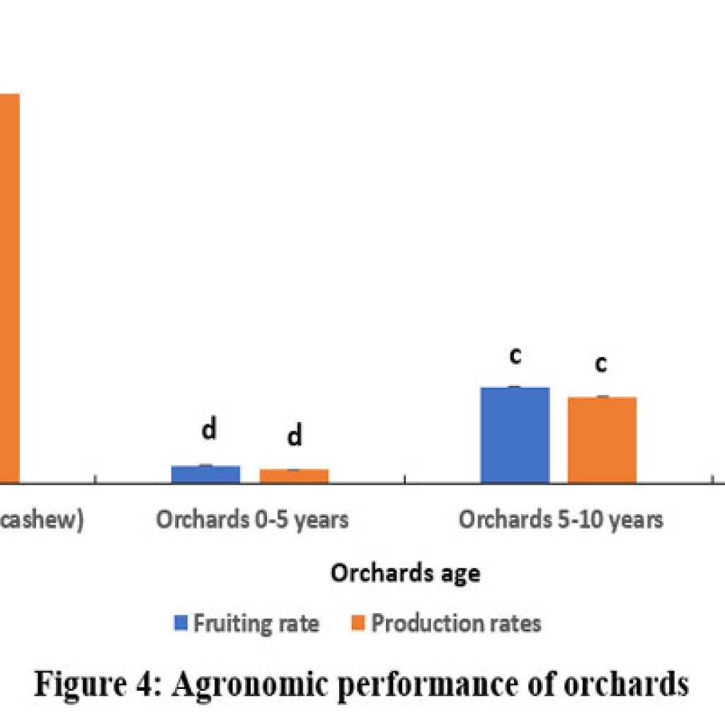 Assessment of Insect Pest Pressure in Cashew Orchards (Anacardium ...
