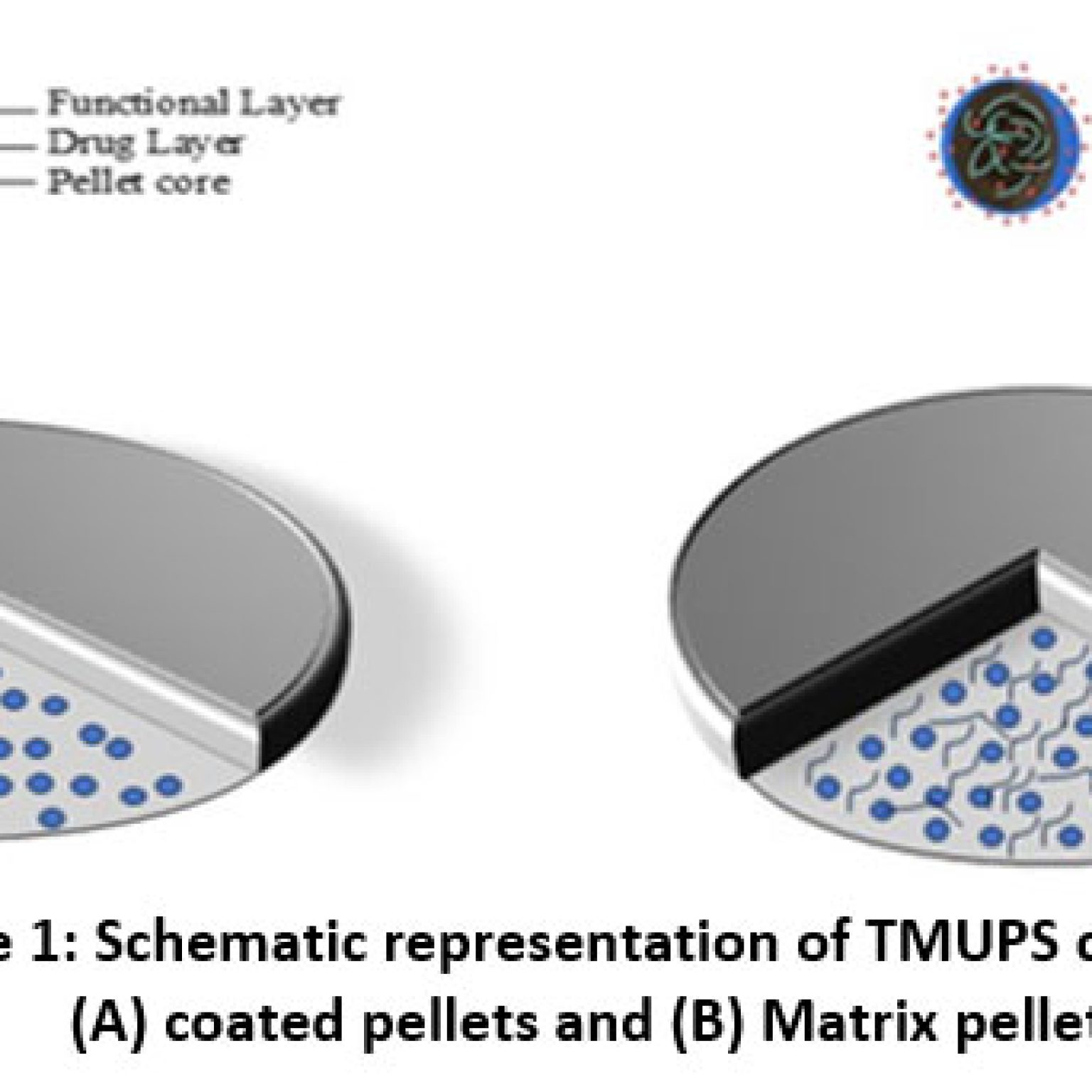 Formulation Strategies for Controlled Drug Release Using MUPS Tablets ...
