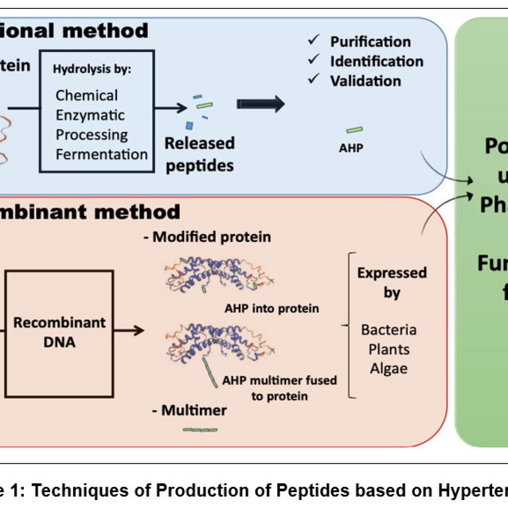 Natural Antihypertensive Peptides: Emerging Therapeutics for Blood ...
