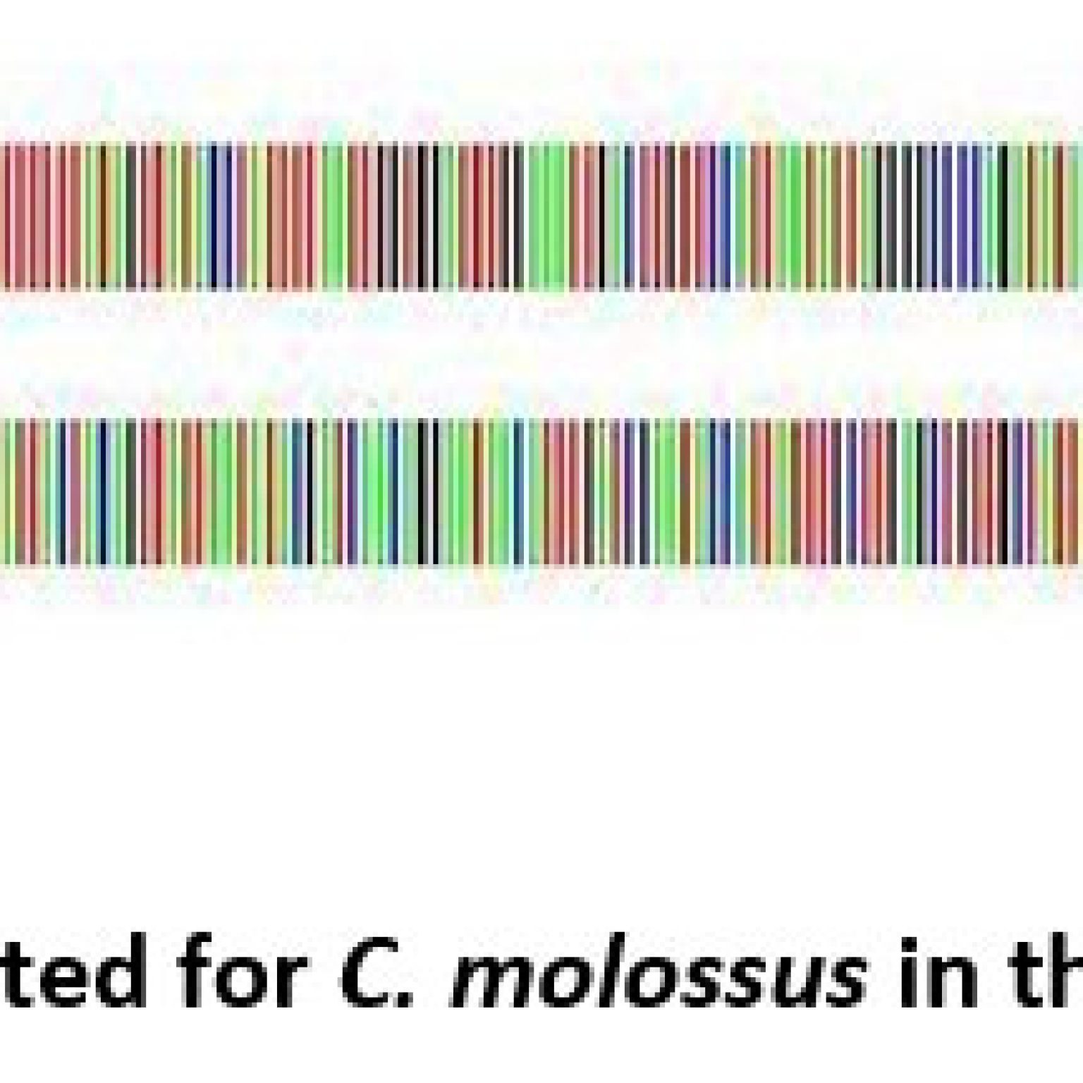 COI-Based DNA Barcoding and Phylogenetic Analysis of Catharsius ...